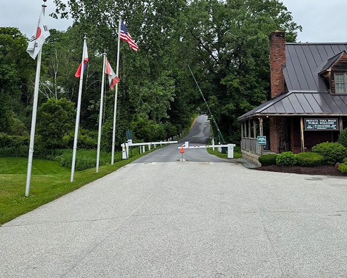 This winding ribbon of asphalt delivers thrills and panoramas in equal measure as it climbs skyward.