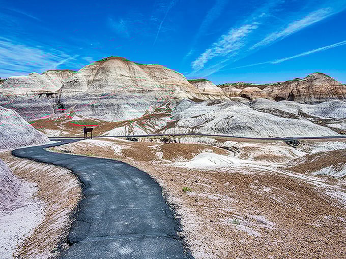 Follow the yellow brick road? Nah, follow this winding trail through a wonderland that would make Oz jealous. 