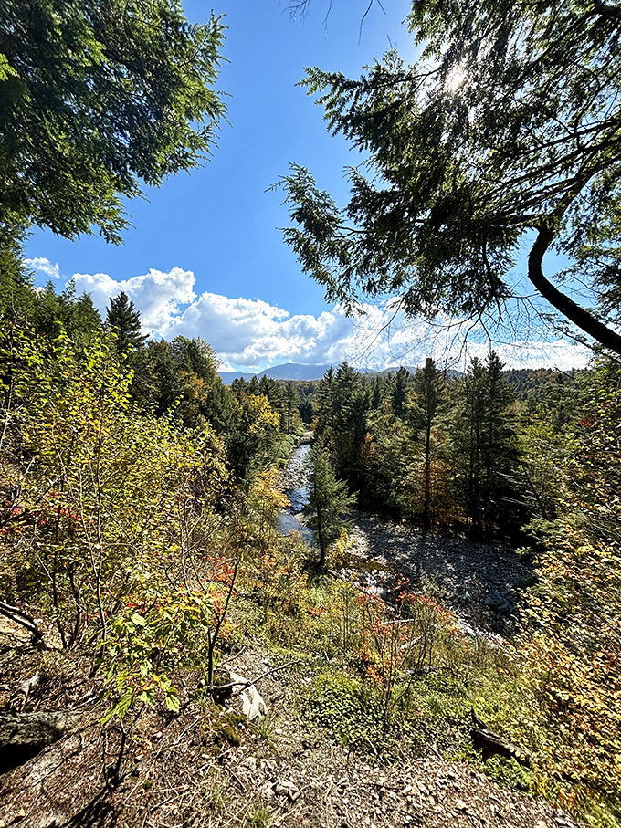 Vermont's forests don't just have trees &ndash; they have characters. Each pine and maple standing tall like guardians of this hidden paradise.