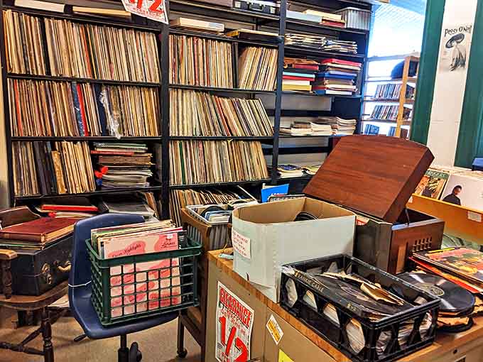 Vinyl heaven for music lovers &ndash; where album covers are art, liner notes are literature, and finding that rare pressing feels like striking gold.