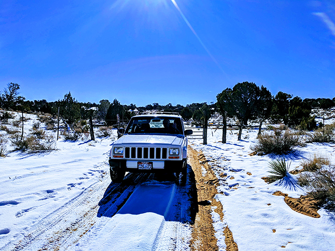 Winter transforms the desert into a monochromatic masterpiece, where tire tracks become the only evidence of human presence.