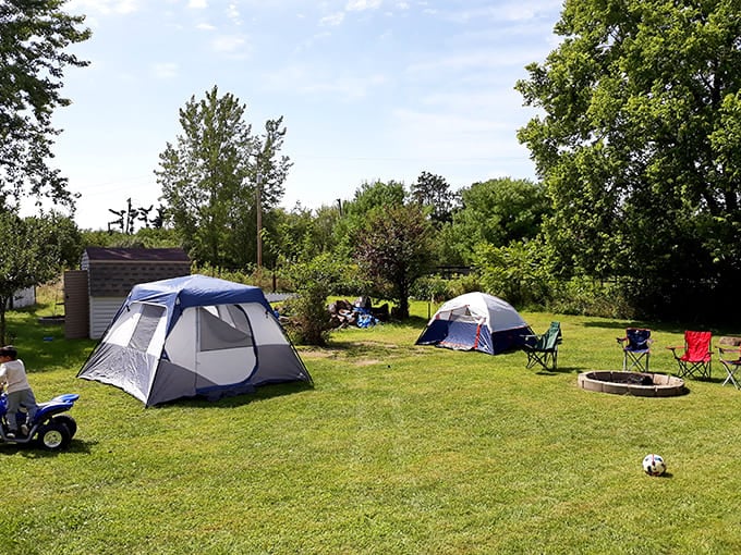 Summer camping brings families together around tents and fire rings, creating memories that last longer than any vacation photos.