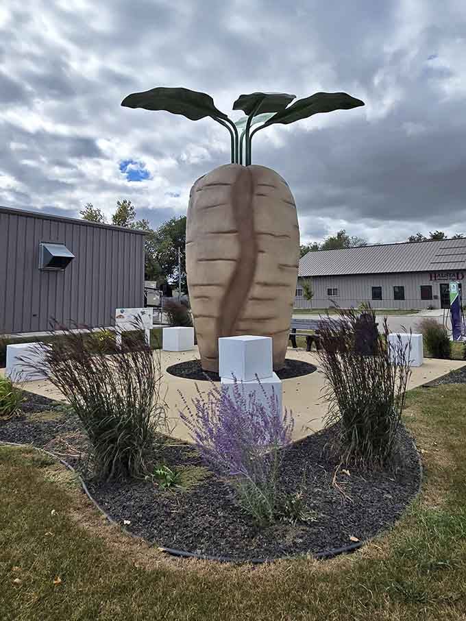 Even under dramatic cloudy skies, this agricultural monument stands proud, reminding everyone that farming communities weather all conditions with strength and determination that deserves recognition.