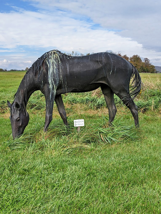 Hay there, good looking! This sleek steed seems to have wandered straight out of a cowboy's daydream and into our hearts.