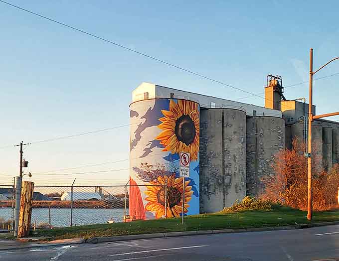 Sunset transforms the Glass City River Wall into a glowing masterpiece, with golden light amplifying the sunflowers' vibrant yellows and oranges.