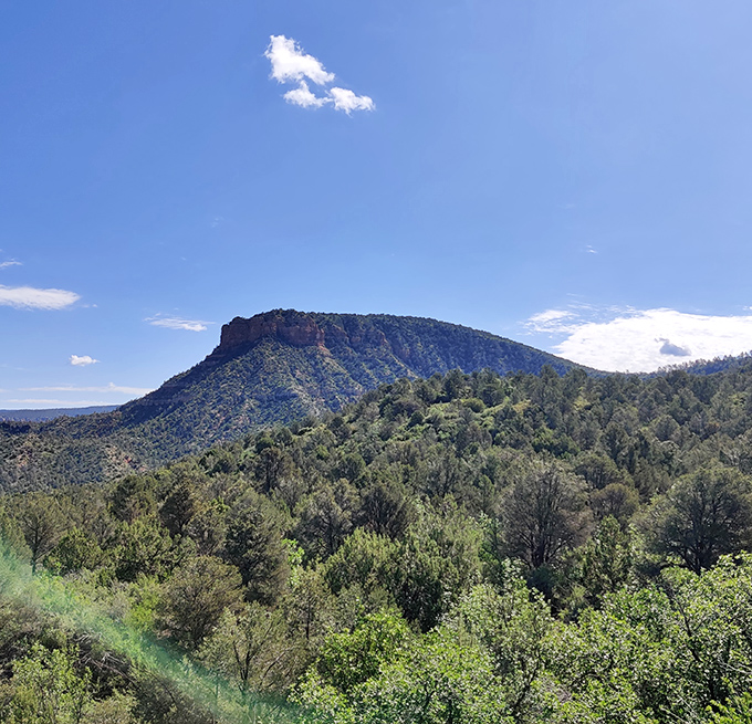 A lone cloud drifts over the mesa while Fossil Creek continues its patient work of carving through the Arizona landscape.