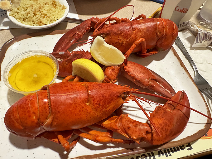 Maine's iconic duo – perfectly steamed lobsters with drawn butter and a side of rice make for a celebration on a plate.
