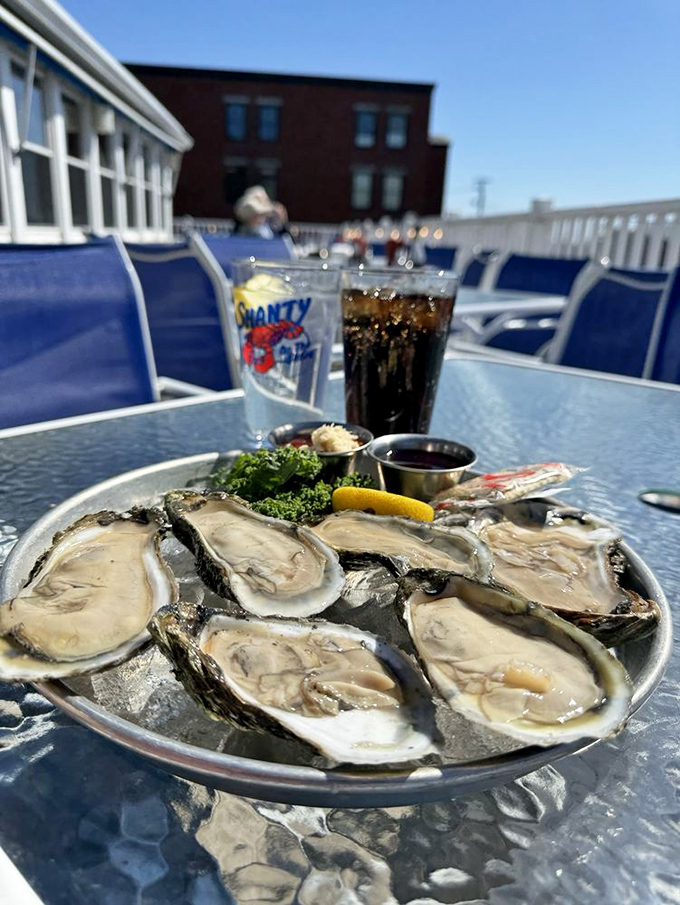 Fresh oysters nestled in ice like precious jewels, waiting to deliver that perfect briny kiss of the sea with each slurp.