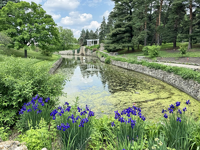Vibrant iris blooms frame the serene waterway, creating picture-perfect moments along Como's winding garden paths.