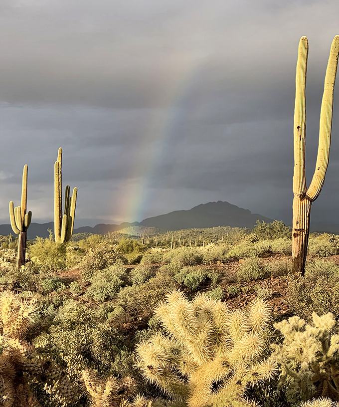 Desert magic at its finest &ndash; a rainbow arches over the landscape, transforming the already spectacular scenery into something truly otherworldly.