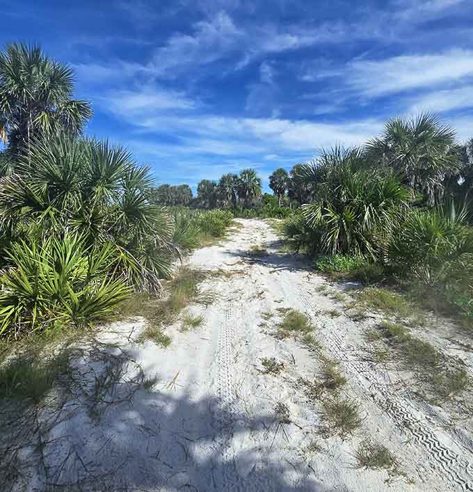 Sandy trails that give your feet a free exfoliation treatment, no spa appointment necessary.