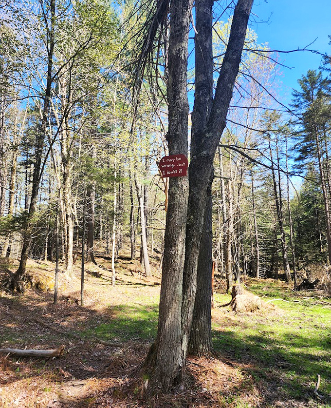 Handmade trail signs add whimsical charm to the forest paths, offering bits of wisdom between breathtaking views.