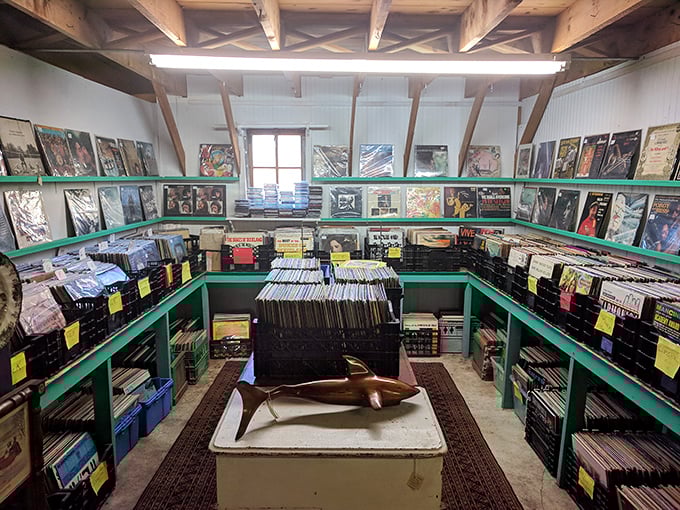 Vinyl enthusiasts can dig through crates of records, where forgotten albums wait for their chance to spin again on someone's turntable.