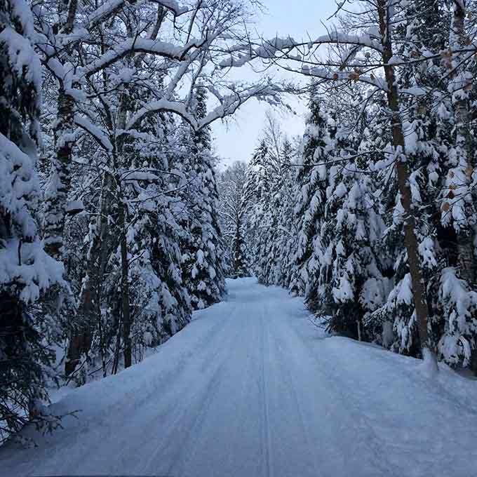 Winter transforms the forest into a snow-globe wonderland, where silence is broken only by the crunch of snowshoes.