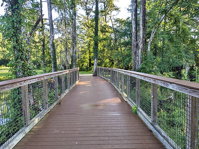 The boardwalk cuts through towering pines, offering a smooth journey through Florida's surprisingly un-flat terrain in the state's northwestern reaches.