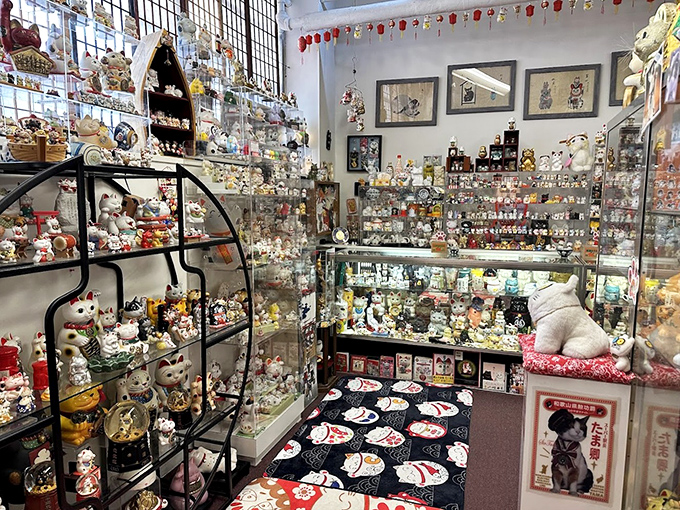 Wall-to-wall lucky cats create a mesmerizing display at the Maneki Neko Museum. Thousands of waving paws seem to beckon good fortune to everyone who visits this unique Cincinnati gem.