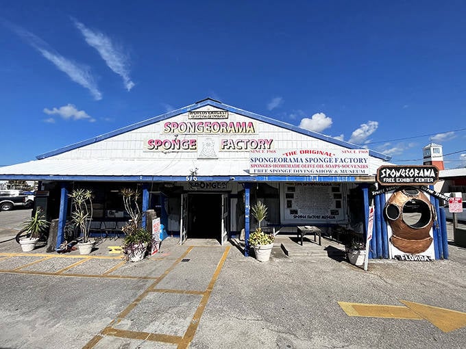 The blue-trimmed Spongeorama building houses both a museum and gift shop dedicated to the fascinating world of natural sea sponges.