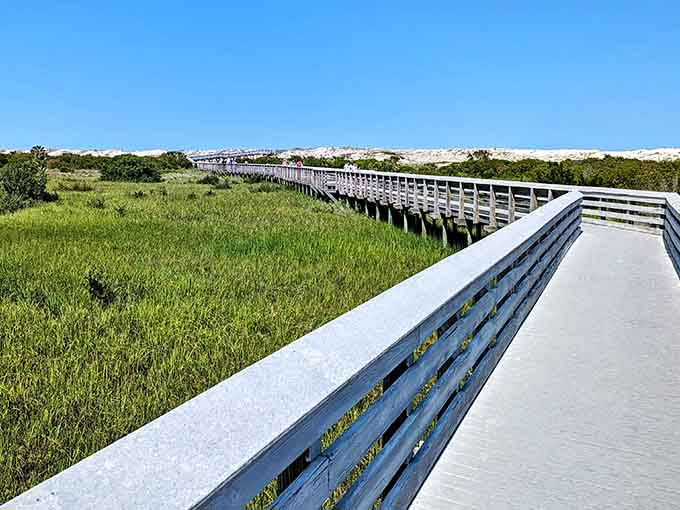 Sometimes the best history lesson involves a boardwalk, salt marshes, and absolutely zero crowds fighting for the perfect Instagram angle, nature wins again.