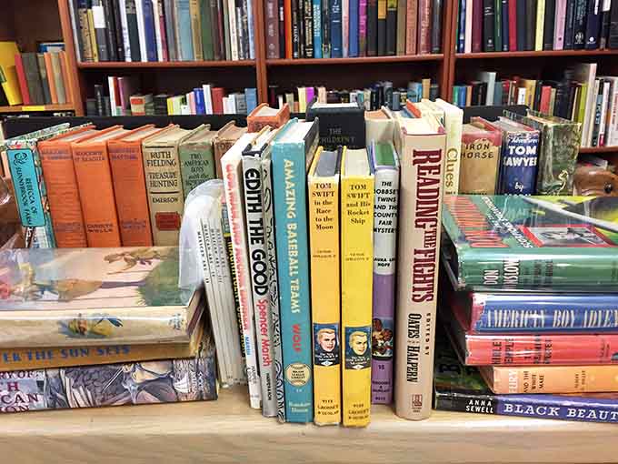 Stacks of vintage books offer literary time travel, where classic titles and forgotten gems create the perfect browsing experience for bibliophiles.