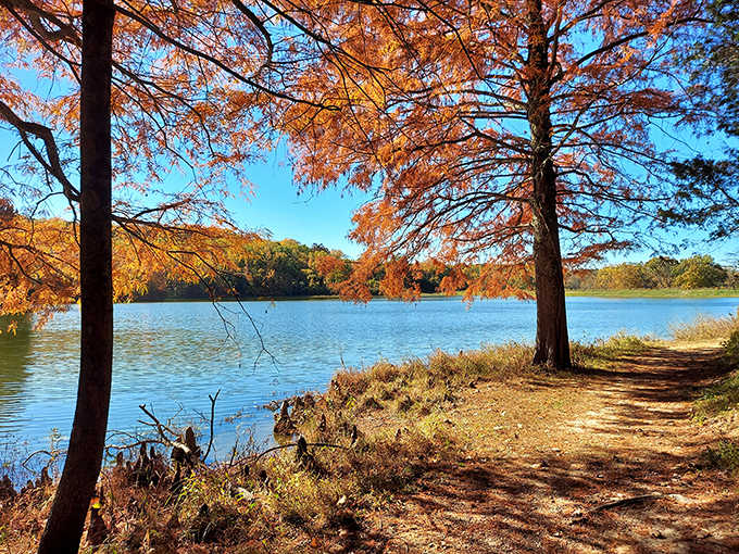 Fall's golden hour transforms this lakeside path into a scene worthy of a calendar cover &ndash; no filter required, Mother Nature's showing off.