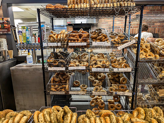 Bagel bounty awaits as fresh-baked beauties rest in their wire baskets, each variety labeled but calling out "pick me" in unison.
