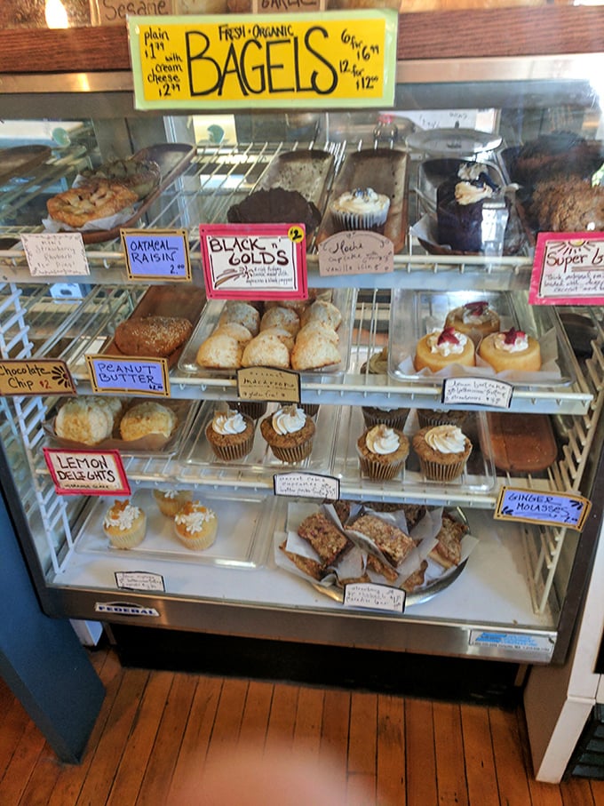 The glass case of temptation displays a rainbow of homemade treats, each promising to be the perfect companion to your literary adventure.