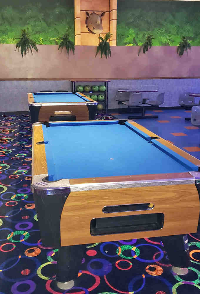 Pool sharks in training can test their skills at Safari Land's billiard tables, where strategic thinking provides a calmer counterpoint to the high-energy attractions.