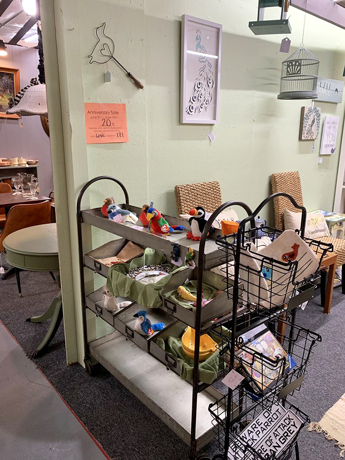 A little birdie told me you'd love this whimsical collection. It's a nest of charming trinkets that'll make your heart take flight.