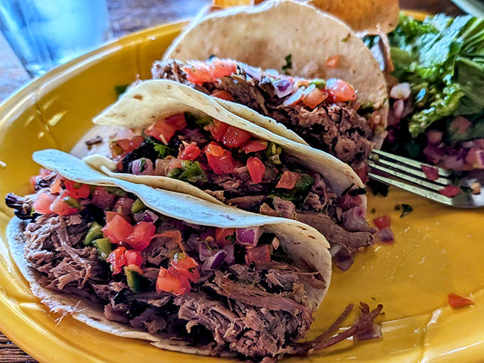 When your tacos feature meat that's been properly smoked and lovingly prepared, suddenly every other taco seems like it's not even trying.