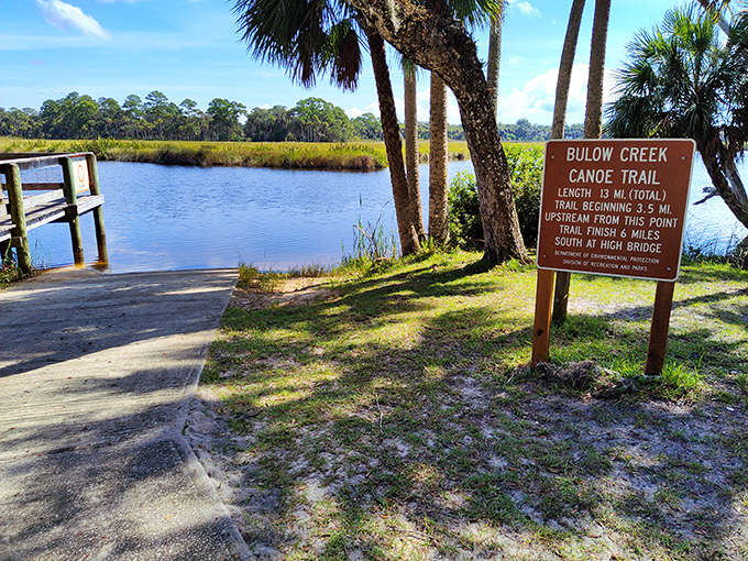 Water, water everywhere! Bulow Creek's tranquil waters once transported plantation goods and now offer peaceful paddling adventures.