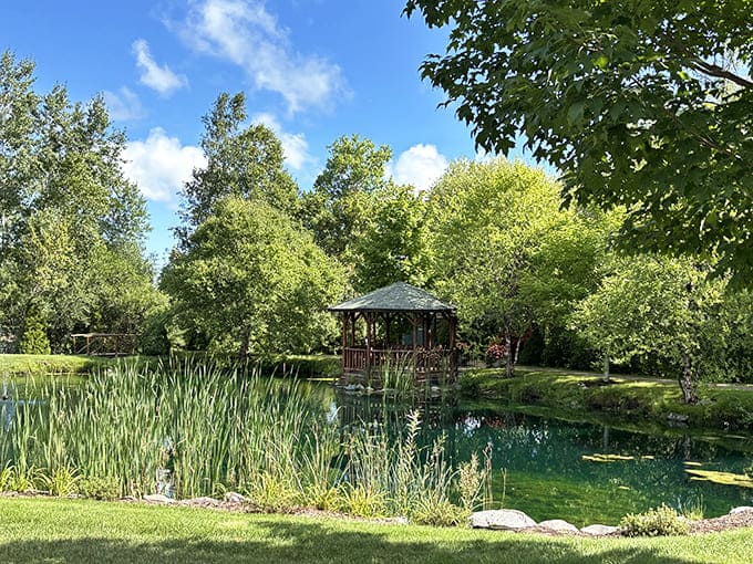 This tranquil pond might not house a legendary sword-wielding lady, but it does offer moments of reflection amid the castle's bustling activity.