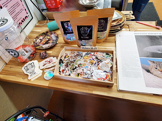 A treasure trove of cat stickers awaits &ndash; because the only thing better than visiting cats is plastering their faces on everything you own.