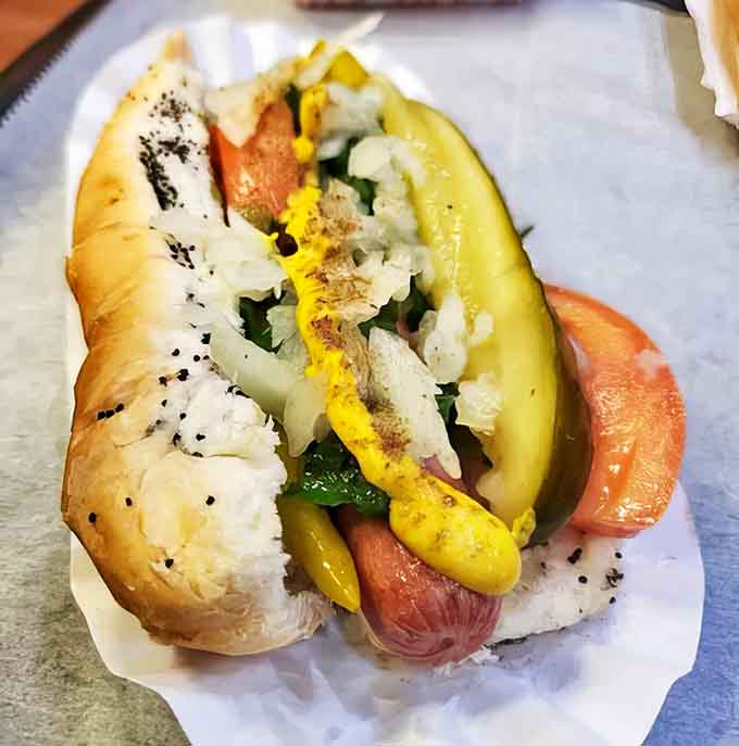 Chicago-style Hot Dog: A masterclass in hot dog architecture &ndash; the poppy seed bun cradles its treasures while mustard, relish, and pickle create a symphony of flavors.