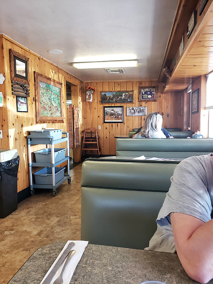 The dining area's knotty pine walls have absorbed decades of laughter, conversation, and the collective sighs of satisfied diners.