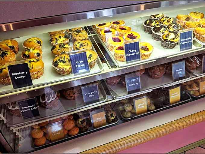 The display case &ndash; or as locals call it, "The Museum of Delicious Possibilities" &ndash; showcases muffin varieties that make choosing just one a delightful dilemma.