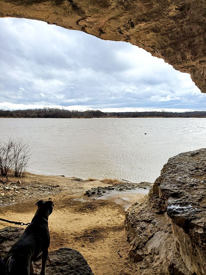 Even four-legged visitors appreciate the cave's dramatic appeal, though they're probably more interested in the interesting smells than the geology.