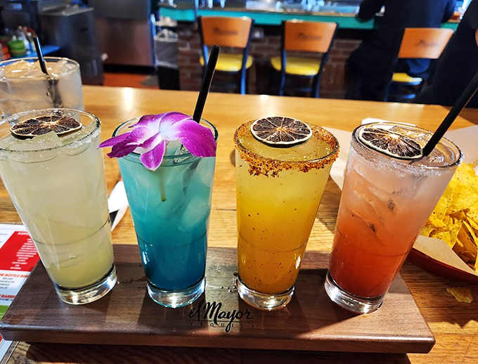 A rainbow of margaritas, each garnished with dried citrus and flowers - because drinking should be as fun as eating.