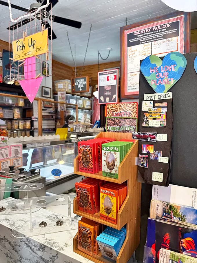 For the brave snacker, these colorful cricket-filled books offer protein with your sugar rush&mdash;adventure in a box!