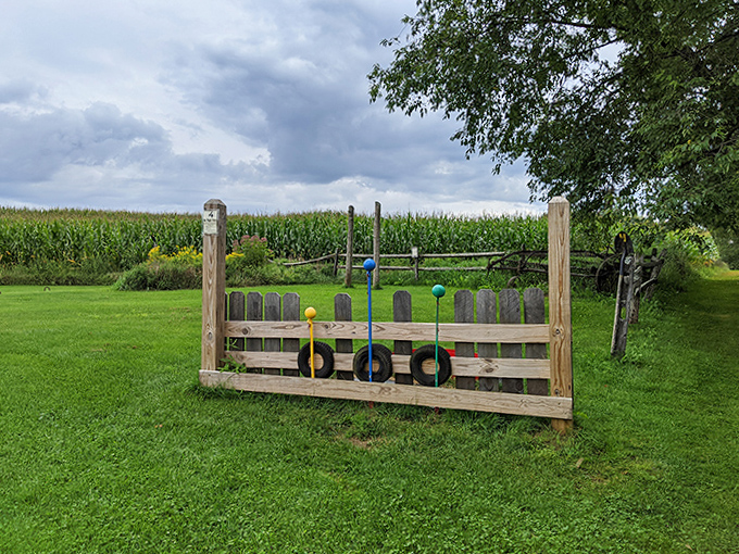 Vermont ingenuity at its finest: lawn games to entertain those who've surrendered to maze fatigue. Ring toss never looked so appealing after two hours of corn-fusion.