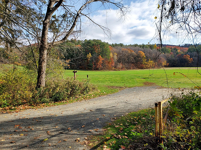 Vermont's pastoral perfection captured in one frame &ndash; rolling fields, distant barns, and the promise of maple syrup somewhere nearby.