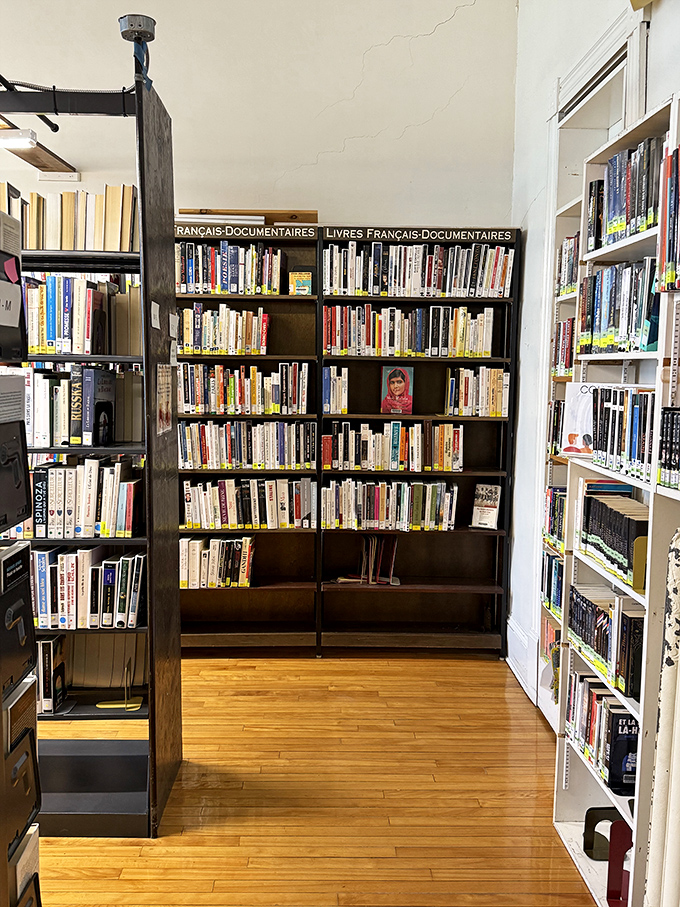 French Documentary Books: Knowledge knows no borders on these shelves where French texts stand proudly, offering bilingual wisdom to curious minds.