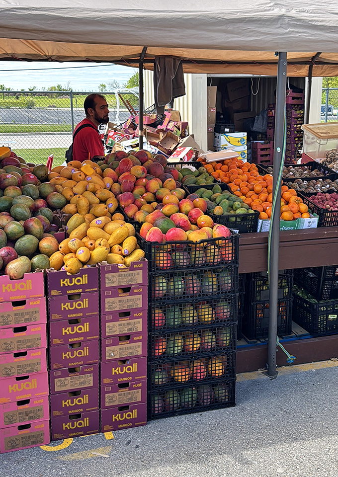 Fresh mangoes, peaches, and citrus create a sunset of flavors – proof that not everything at the fair is secondhand.