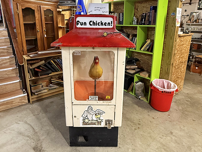 The "Fun Chicken" arcade game clucks defiantly at modern entertainment, a quirky mechanical holdout from simpler gaming times.