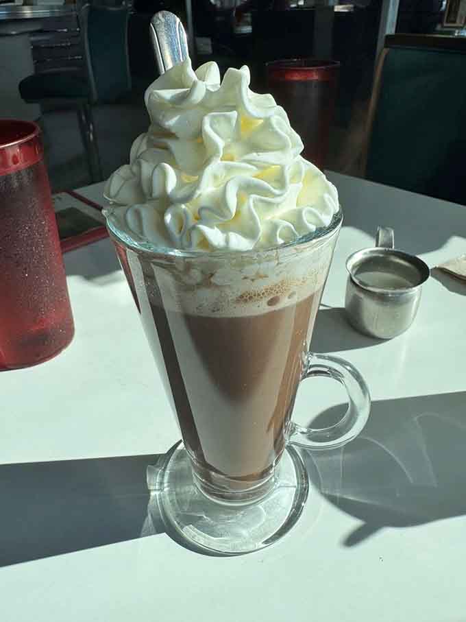 Hot chocolate topped with enough whipped cream to require architectural support, because moderation is for other restaurants.