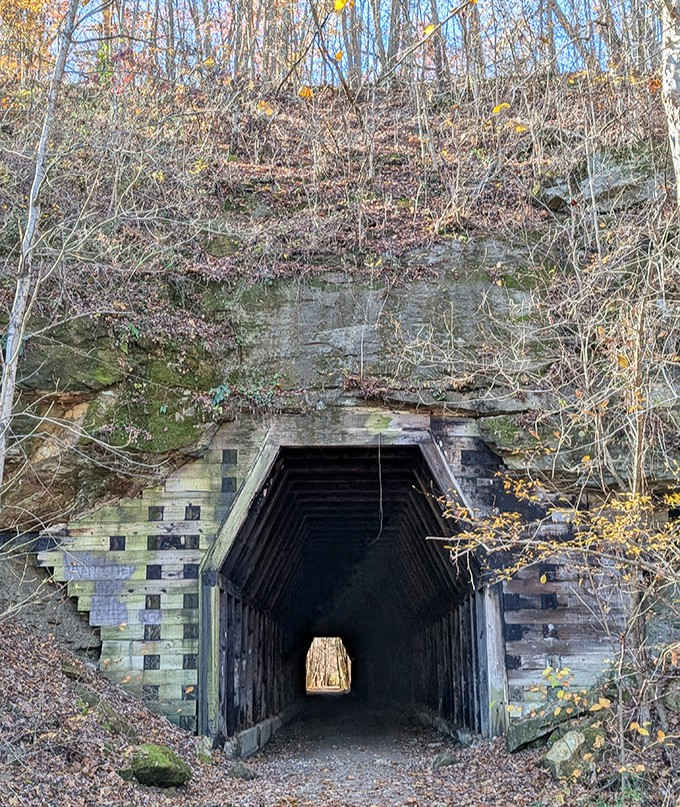 Step into this historic passage and you're literally walking through time &ndash; the light at the end frames the forest like a living postcard.