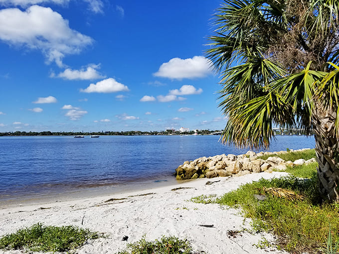 Where the Intracoastal offers a calmer alternative to Atlantic waves. Palm trees standing guard like nature's own welcoming committee.