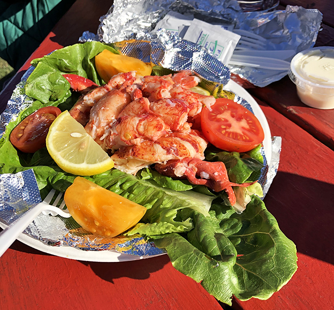 Lobster salad that makes ordinary salads look like punishment &ndash; proof that healthy eating can still be indulgent.