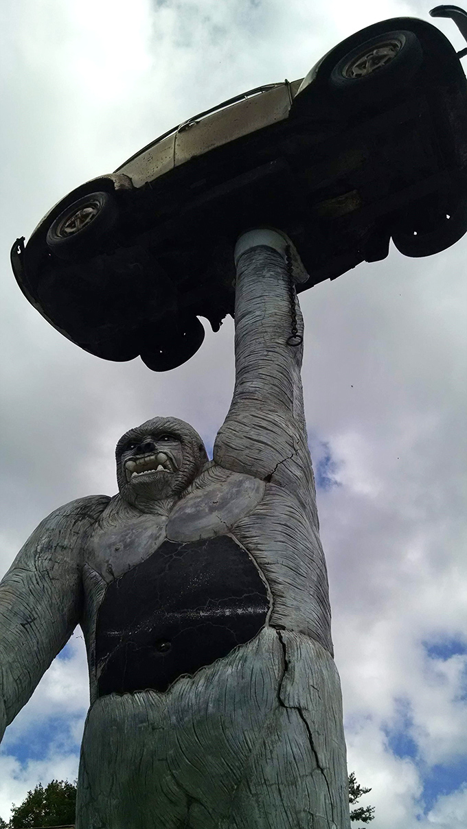 The gorilla's determined expression has weathered decades of Vermont seasons, becoming more characterful with each passing year.