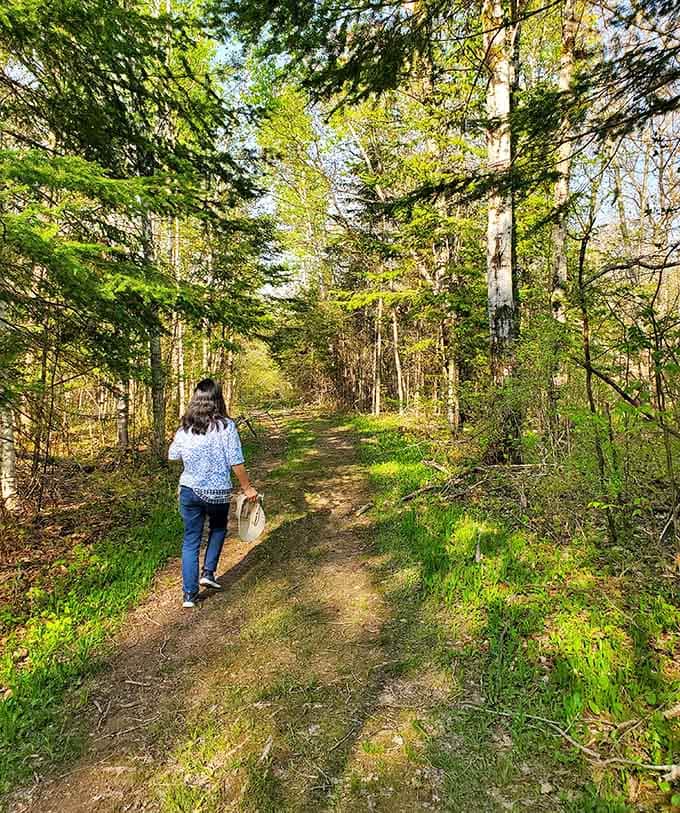 Spring trails invite exploration with that fresh green enthusiasm that makes you remember why you love the outdoors.