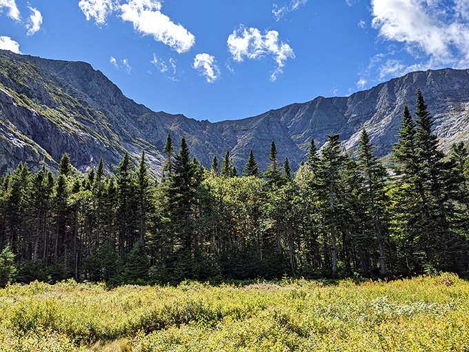 Mount Katahdin stands proud against a perfect blue sky, its granite face telling geological stories spanning millions of years.
